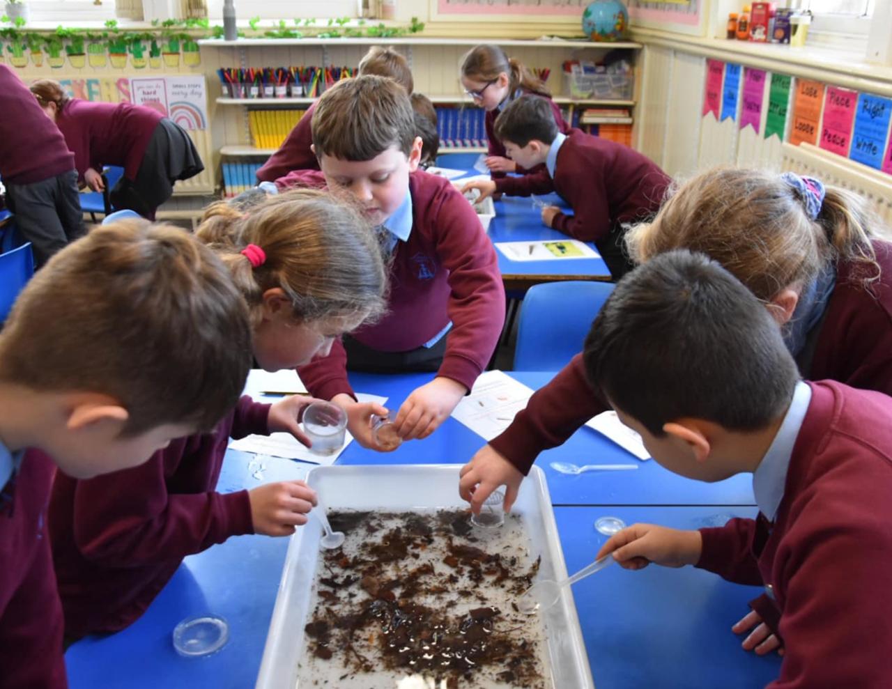 Trout in the Classroom for Children | Powered by Givergy